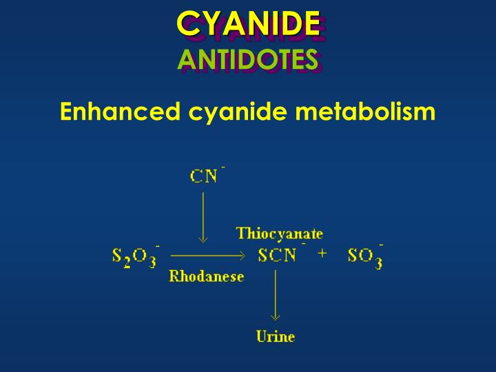 PPT - CYANIDE PowerPoint Presentation - ID:1204334