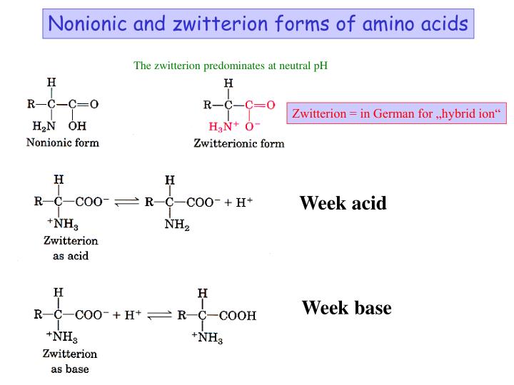 PPT - AMINO ACIDS PowerPoint Presentation - ID:1205136