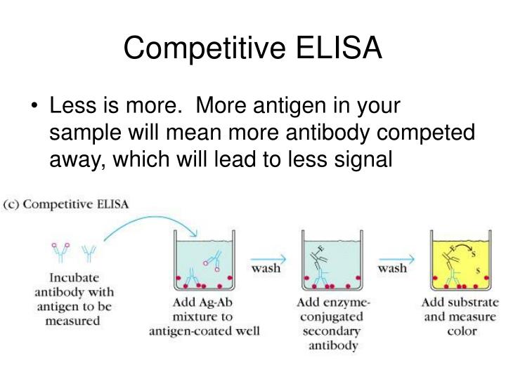 PPT - ELISA (aka Enzyme-Linked Immunosorbent Assay) PowerPoint ...