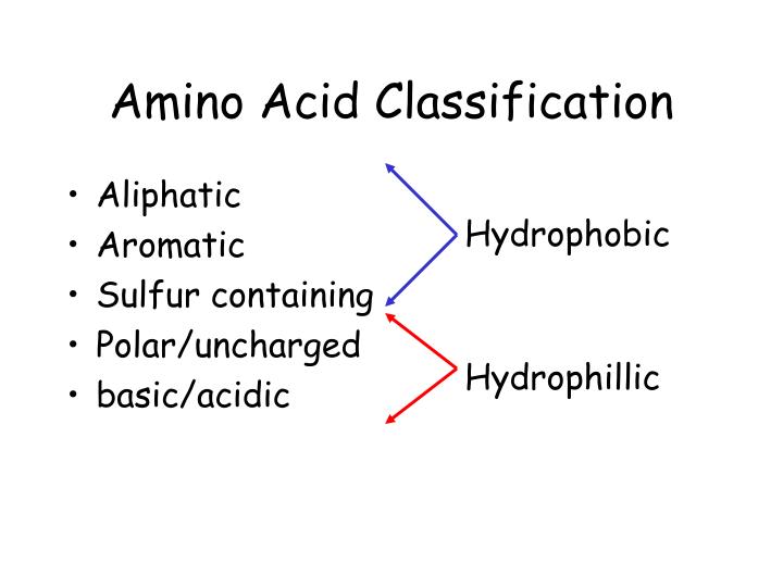 PPT - Chapter 3 PowerPoint Presentation - ID:1205383