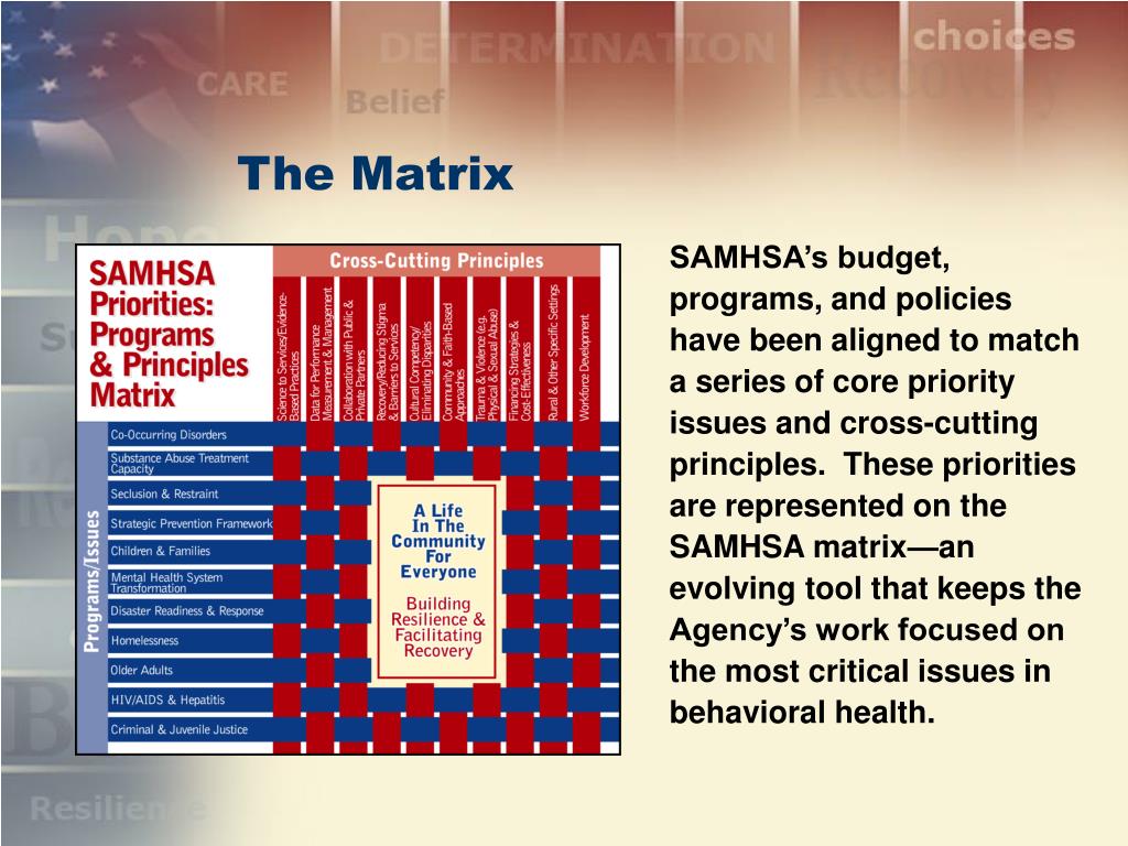 PPT - Transforming Mental Health Care in America: The First Steps ...