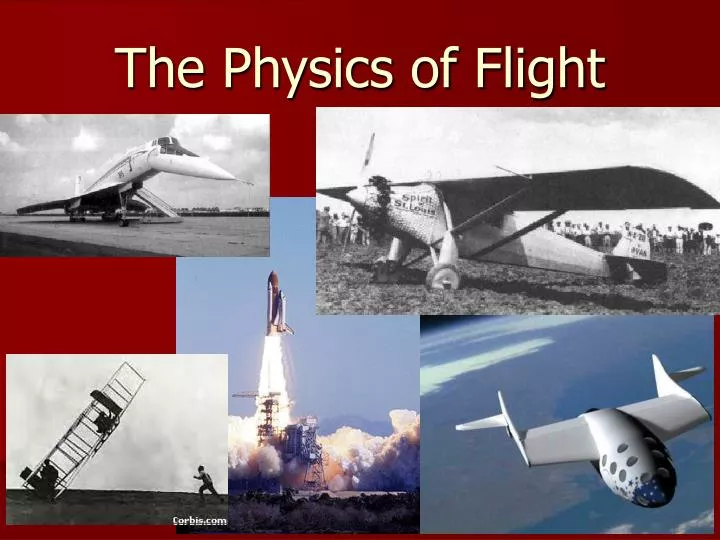 PPT - The Physics of Flight PowerPoint Presentation, free download - ID ...