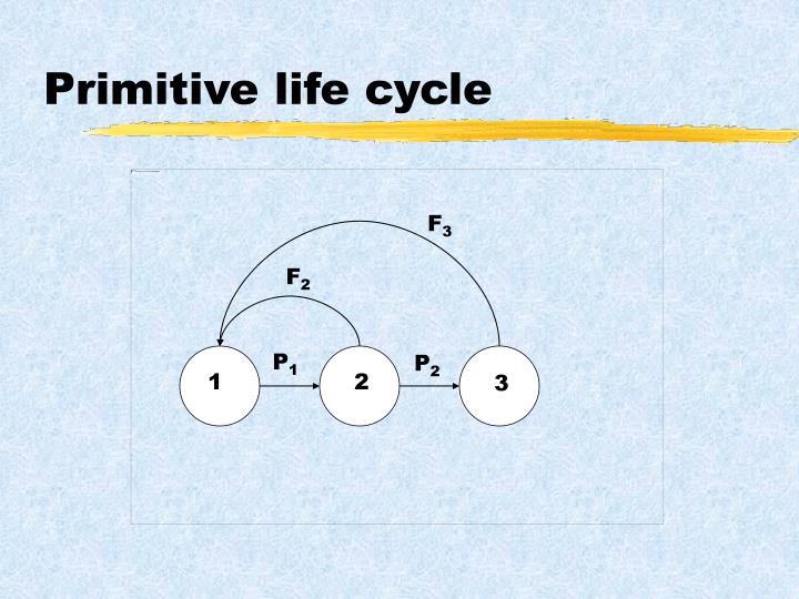 PPT - Introduction to Leslie Models PowerPoint Presentation - ID:1206693