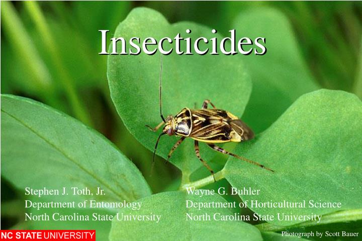 PPT - Insecticides PowerPoint Presentation, free download - ID:1207691