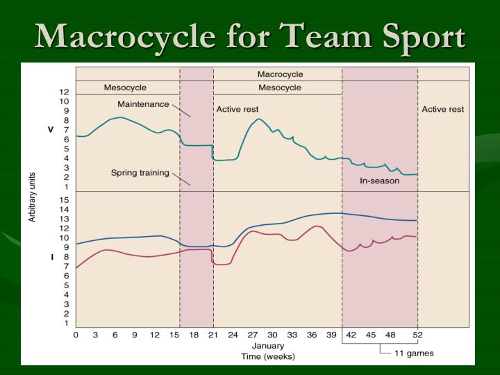 PPT - Periodization PowerPoint Presentation - ID:1208281