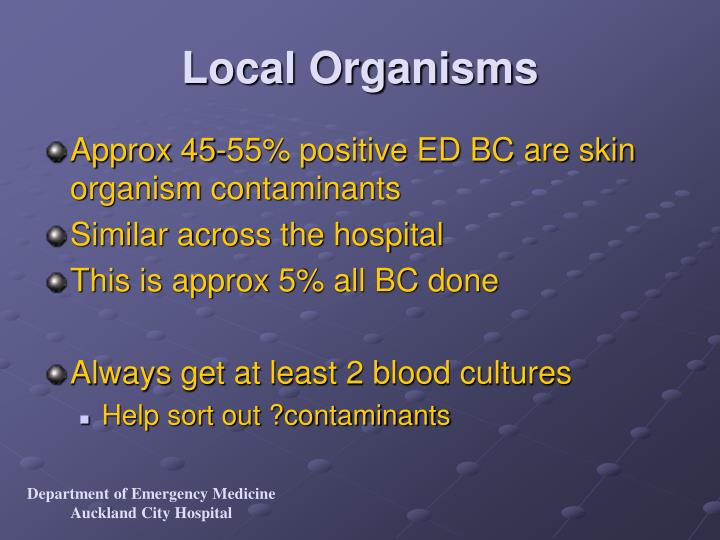 PPT - Sepsis PowerPoint Presentation - ID:1208446