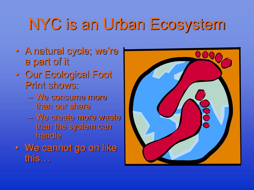 PPT - Green Roofs – Reducing the eco-footprint of Jackson Heights…and ...