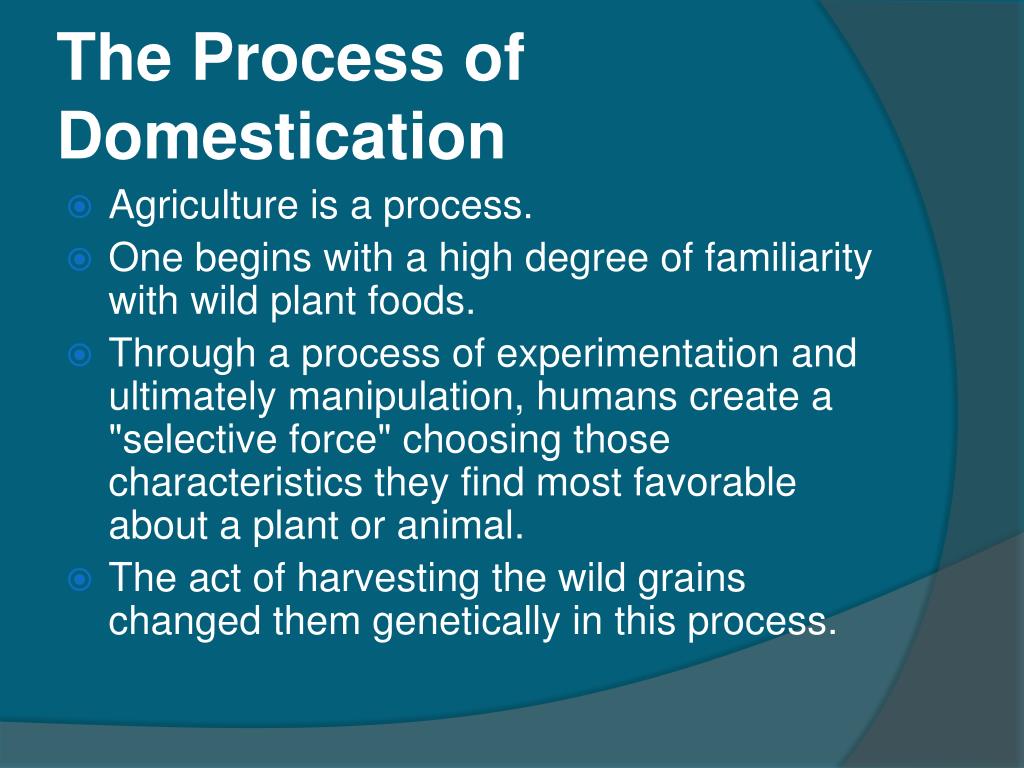 PPT - Agriculture and Village life PowerPoint Presentation, free ...