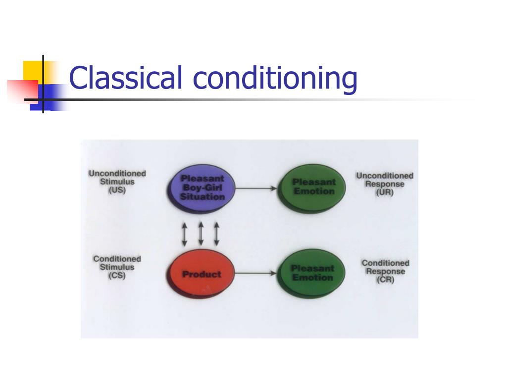 PPT - Affective and Motivational Approaches to Persuasion PowerPoint ...