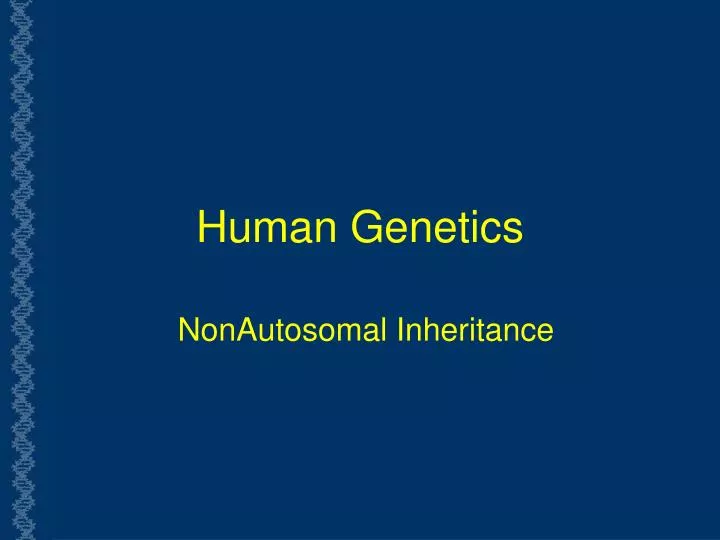 PPT - Human Genetics PowerPoint Presentation, free download - ID:1211530