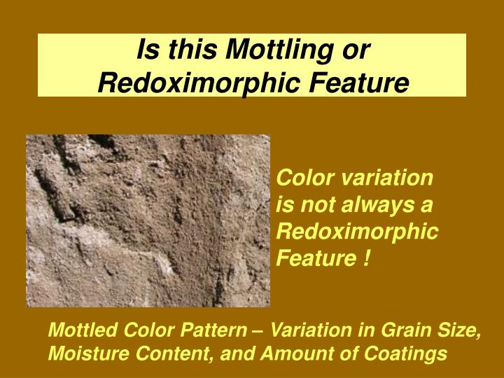 PPT - Describing Redoximorphic Features PowerPoint Presentation - ID ...