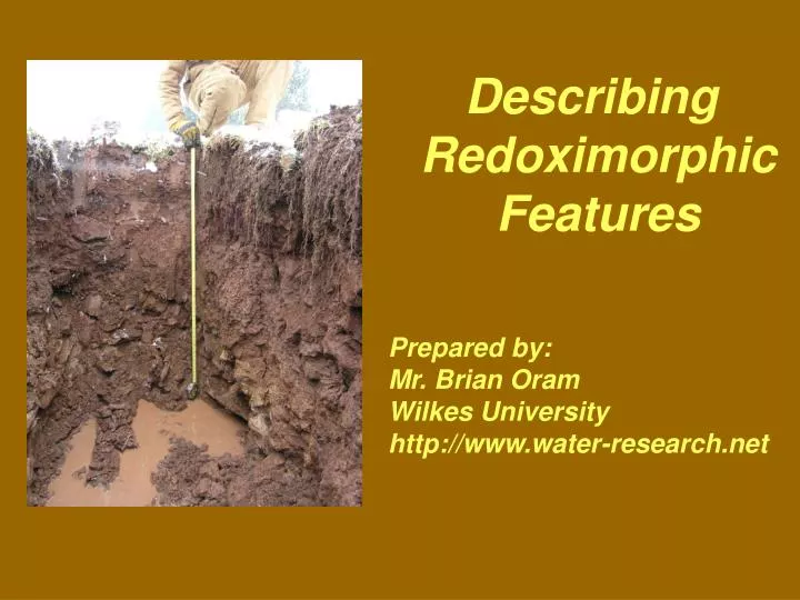 PPT - Describing Redoximorphic Features PowerPoint Presentation, free ...