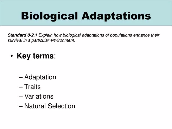 Ppt Biological Adaptations Powerpoint Presentation Free Download