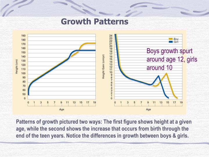 PPT - Chapter 11: Adolescence: Physical and Cognitive Development ...
