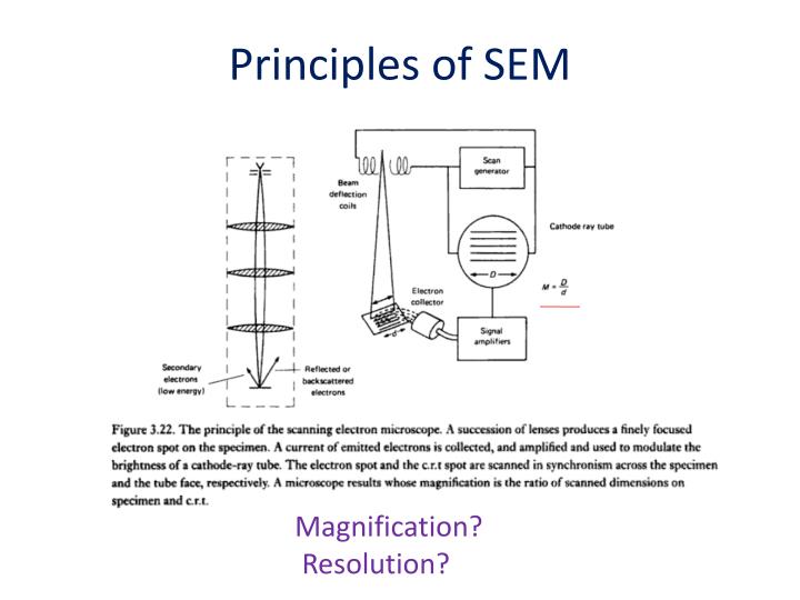 PPT - Scanning Electron Microscope PowerPoint Presentation - ID:1214545