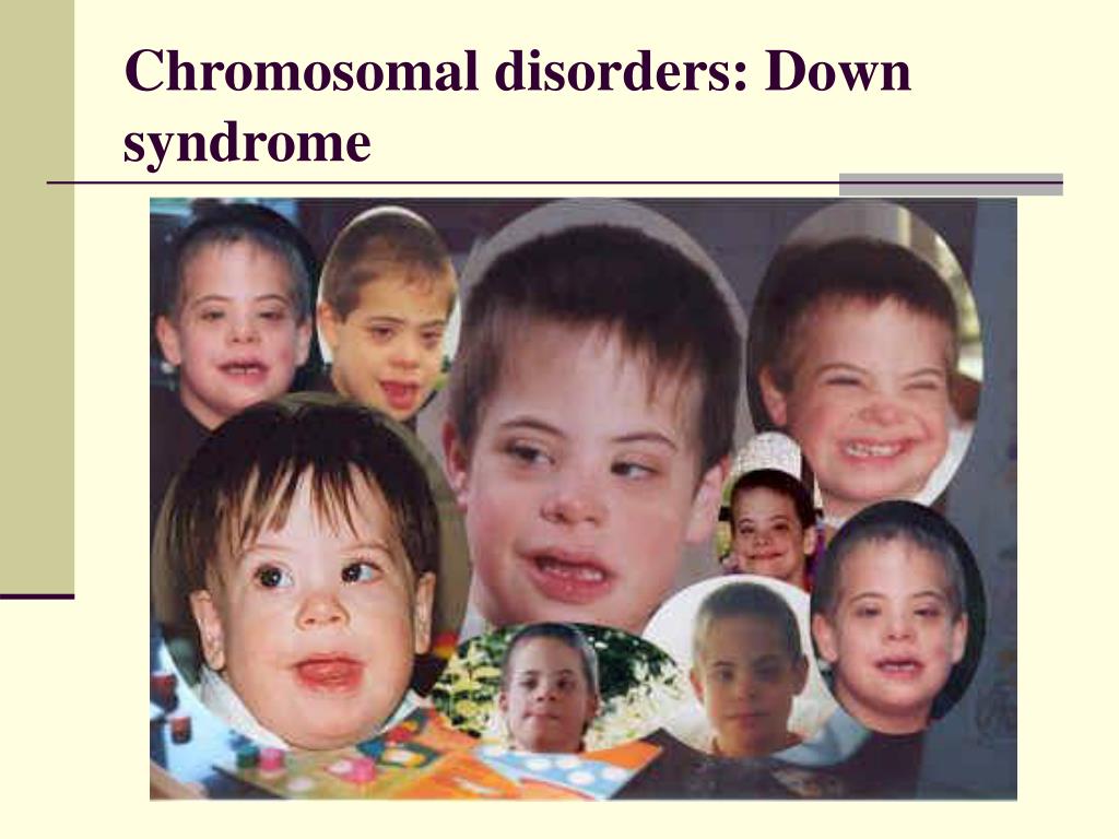 PPT - Chapter 2 Lecture Notes and Behavior Genetics PowerPoint ... PPT - Chapter 2 Lecture Notes and Behavior Genetics PowerPoint ...