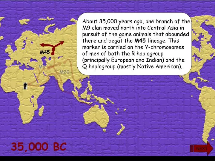 PPT - 35,000 BC PowerPoint Presentation, free download - ID:1215034