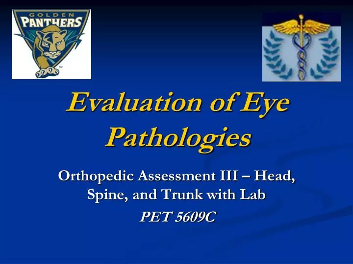 PPT - Evaluation of Eye Pathologies PowerPoint Presentation, free ...