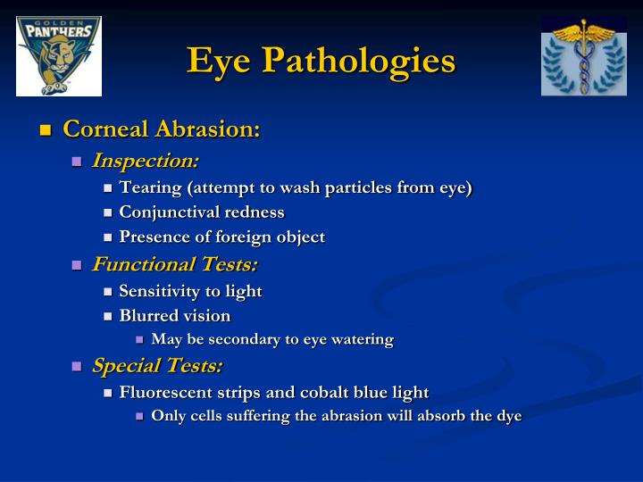 PPT - Evaluation of Eye Pathologies PowerPoint Presentation - ID:1215192
