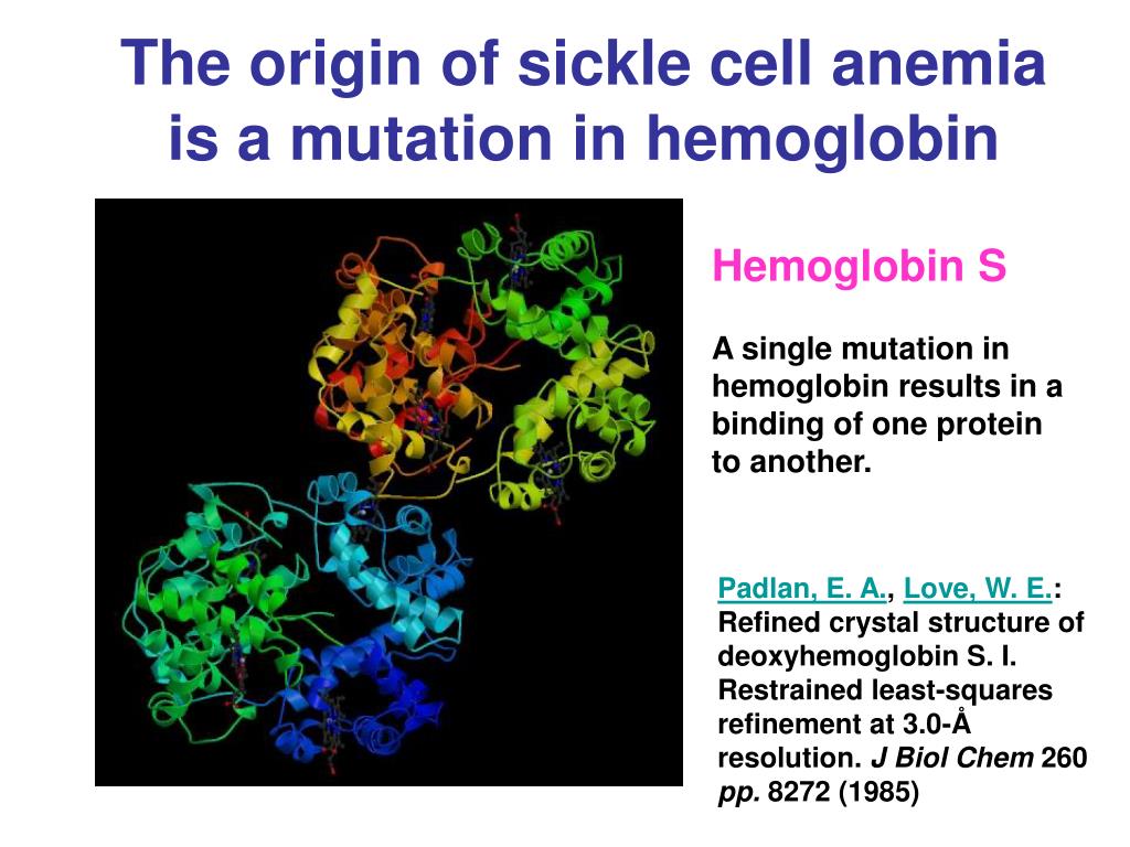 Ppt Sickle Cell Anemia Powerpoint Presentation Free Download Id1217270