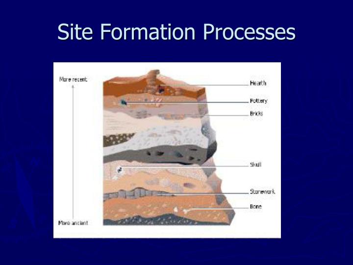PPT - The Archaeological Record PowerPoint Presentation - ID:1217305
