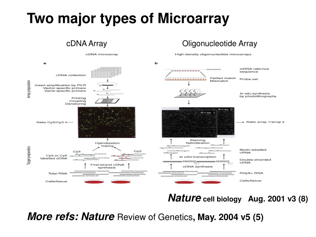 Ppt Empirical Bayes Analysis Of Variance Component Models For Microarray Data Powerpoint