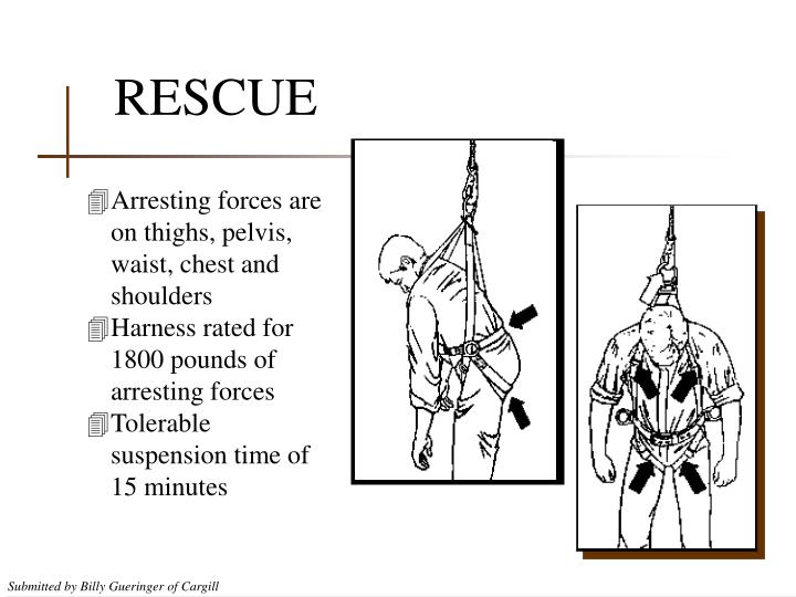 PPT - Personal Fall Arrest Systems PowerPoint Presentation - ID:1218325