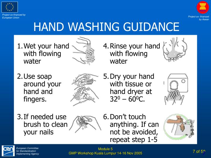 PPT - SUPPLEMENTARY ASEAN GMP TRAINING MODULE PERSONNEL HYGIENE ...