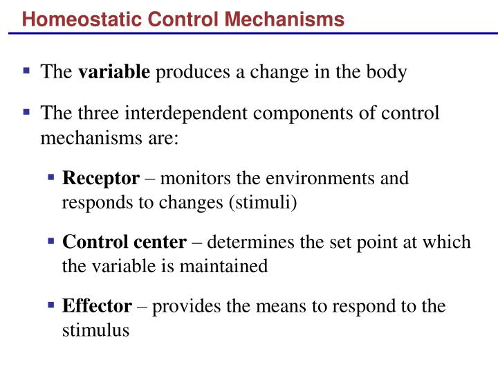 PPT - Physiology PowerPoint Presentation - ID:1222822