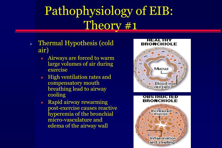 PPT - Asthma and the Athlete PowerPoint Presentation - ID:1223197