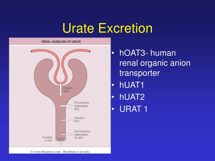 PPT - Crystal-induced Arthropathy: Gout and Pseudogout PowerPoint ...
