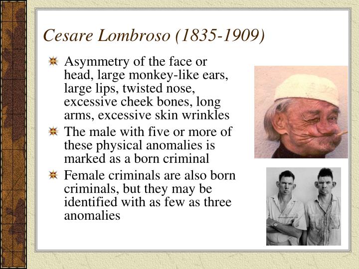 PPT - Biological Theories of Crime PowerPoint Presentation - ID:1224065