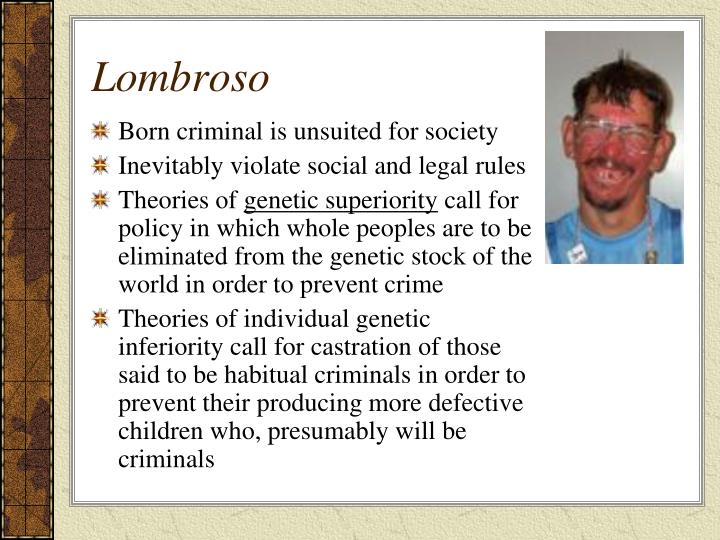 PPT - Biological Theories of Crime PowerPoint Presentation - ID:1224065