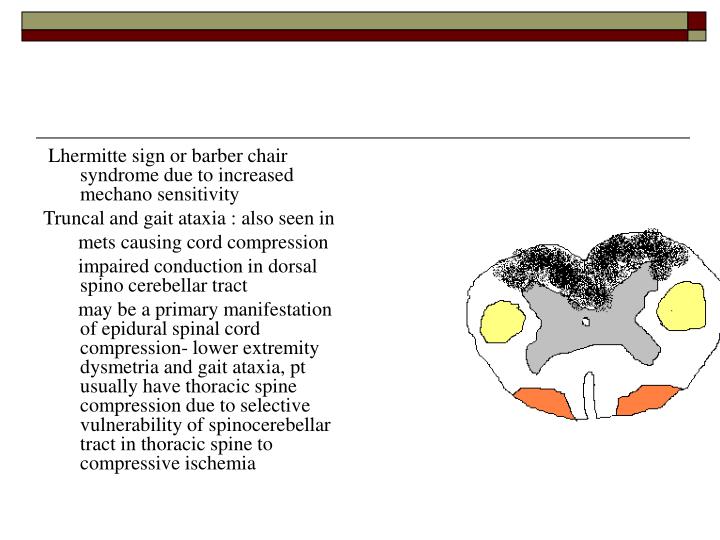 PPT - Lesions of the spinal cord PowerPoint Presentation - ID:1224526