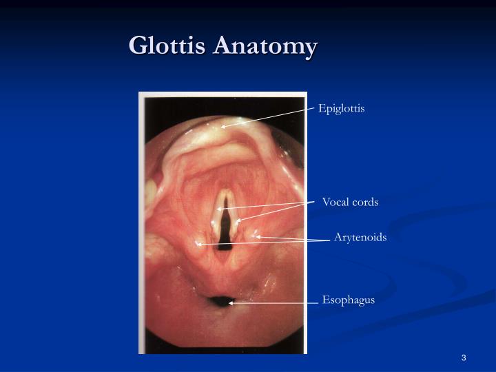 PPT - AIRTRAQ LARYNGOSCOPE PowerPoint Presentation - ID:1224983