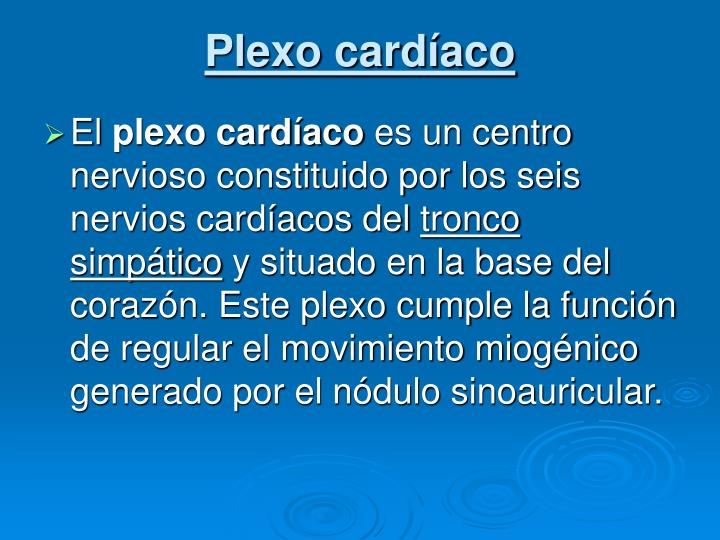 PPT - Sistema circulatorio PowerPoint Presentation - ID:1226679