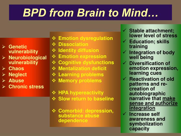 PPT - Borderline Personality Disorder: From Brain to Mind… PowerPoint ...