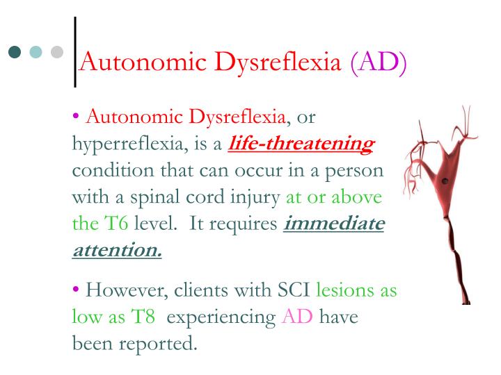 PPT - Autonomic Dysreflexia PowerPoint Presentation - ID:1227984