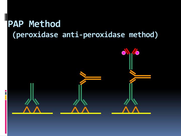PPT - The basics of immunohistochemistry PowerPoint Presentation - ID ...