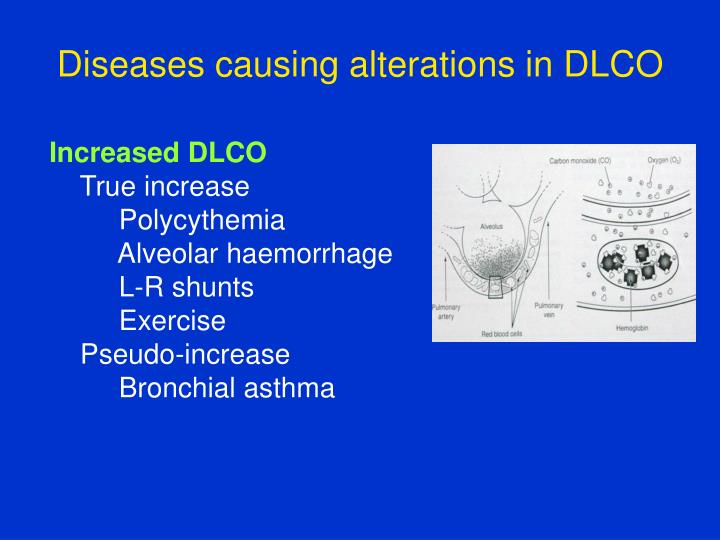 PPT - DM Seminar 23.01.04 Diffusion Capacity Puneet Malhotra Dept. of ...