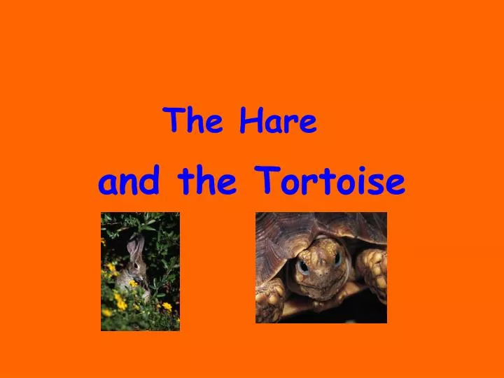 PPT - and the Tortoise PowerPoint Presentation, free download - ID:1229863