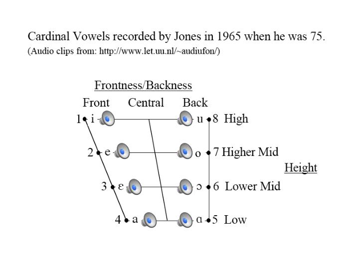PPT - Cardinal Vowels PowerPoint Presentation - ID:1230070