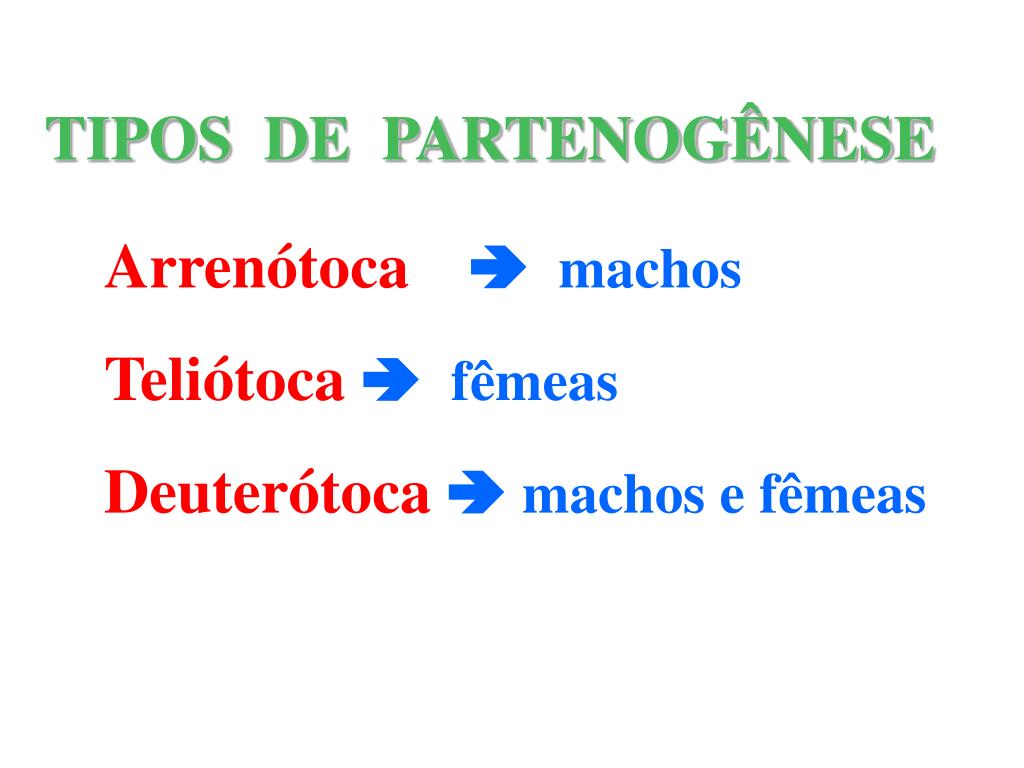 PPT - REPRODUÇÃO – CASOS ESPECIAIS PowerPoint Presentation, free ...