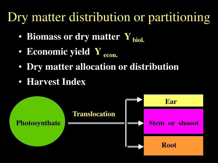 PPT - Dry matter partitioning PowerPoint Presentation - ID:1233452