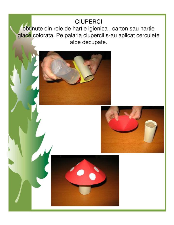 PPT - ABILITATI PRACTICE - TOAMNA - PowerPoint Presentation - ID:1234640