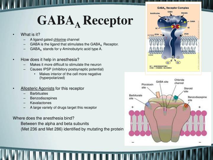 PPT - General Anesthesia PowerPoint Presentation - ID:1240747