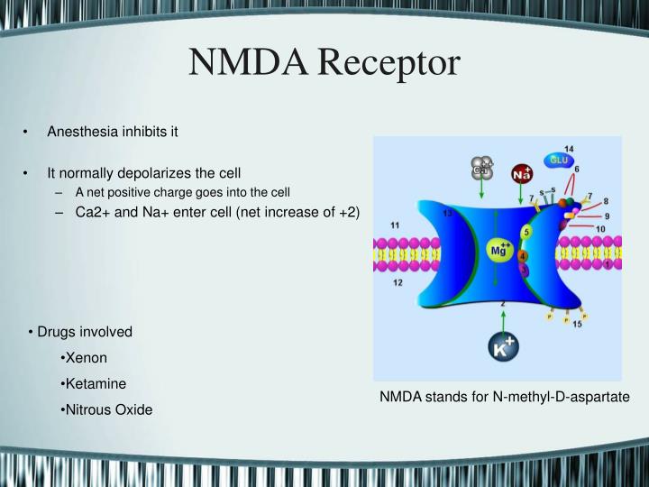 PPT - General Anesthesia PowerPoint Presentation - ID:1240747