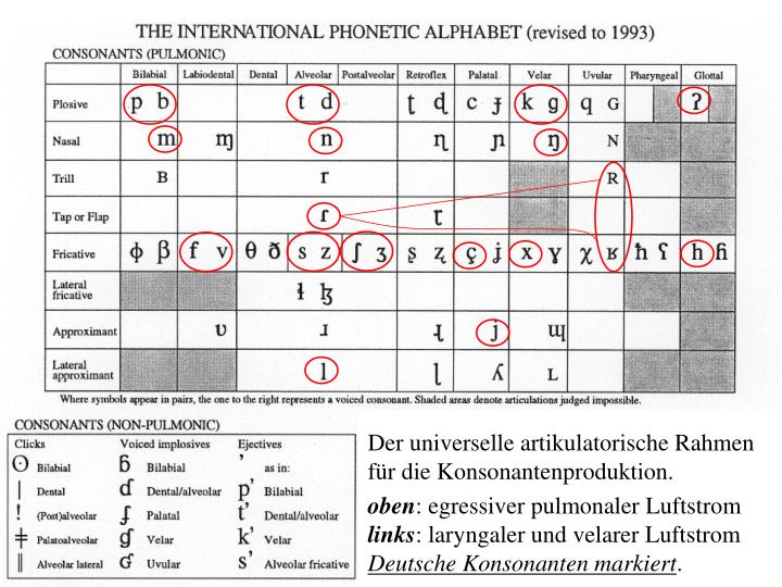 PPT - Einführung in die Phonetik und Phonologie PowerPoint Presentation ...