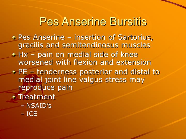 PPT - Knee Problems PowerPoint Presentation - ID:1241545
