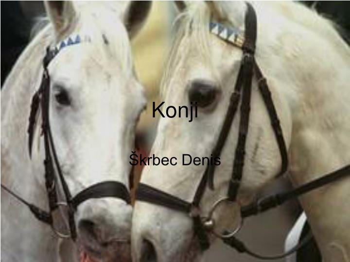 PPT - Konji PowerPoint Presentation, free download - ID:1241975